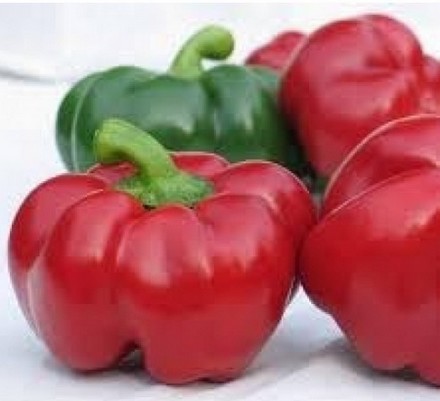 Bihar F1 hibrid paprika - plantanet.hu