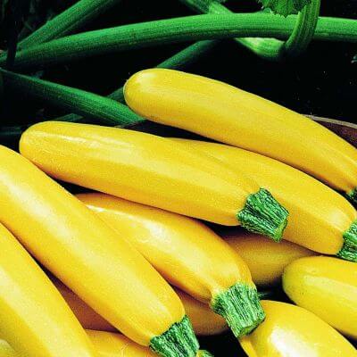 Soleil F1 cukkini - plantanet.hu